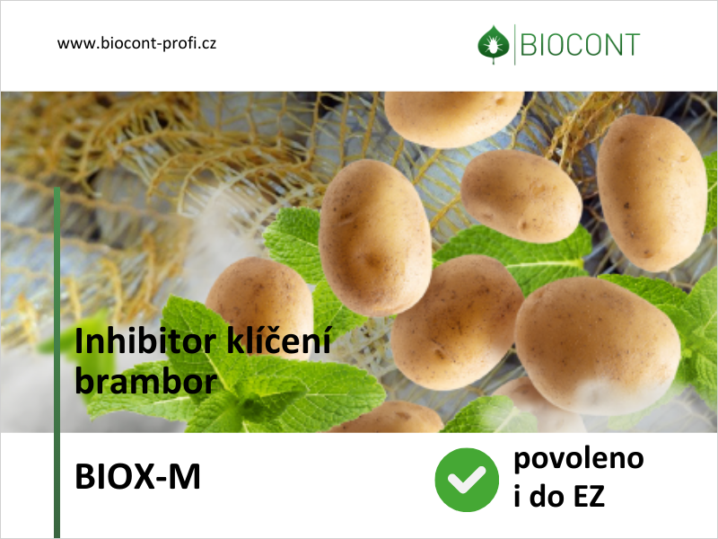 BIOX-M inhibitor klíčení uskladněných brambor - Biocont Profi